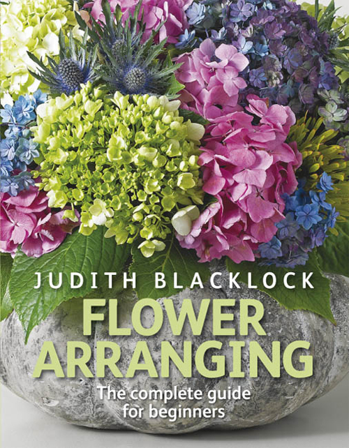 Independent Publisher: THE Voice of the Independent Publishing Industry